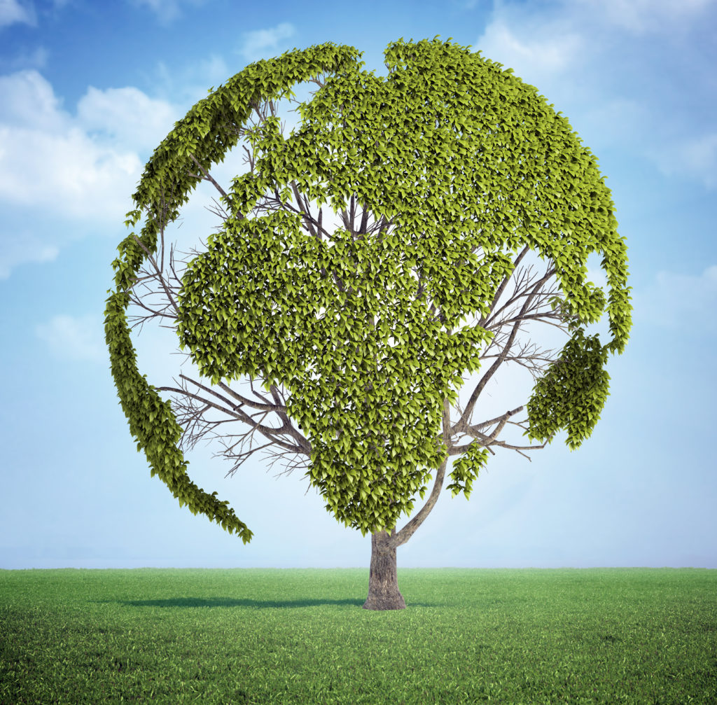 3 Wellbeing Leaders Who Rock Earth Day All Year Long | Wisdom Works ...