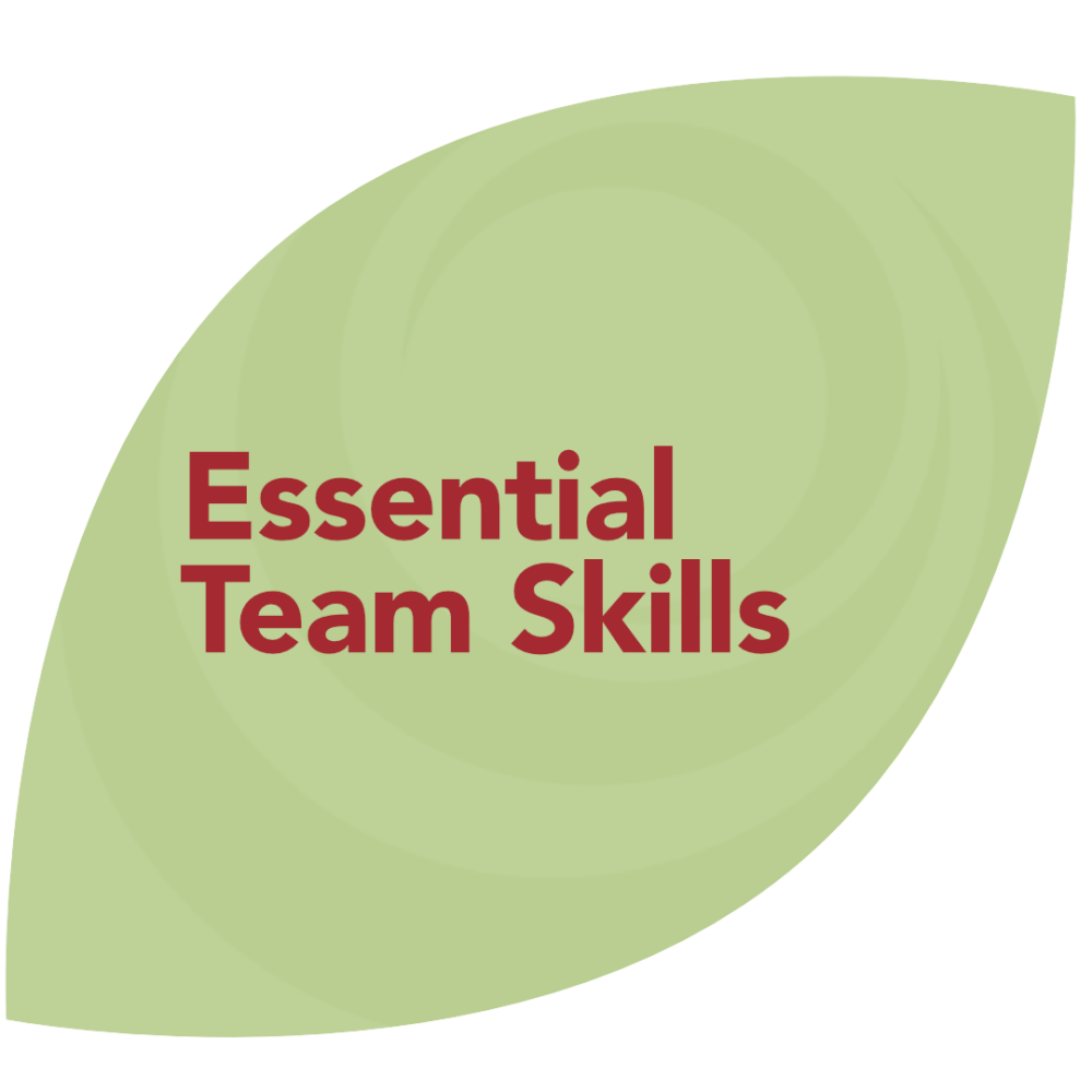 Anatomy of a Thriving Team | Wisdom Works Wisdom Works